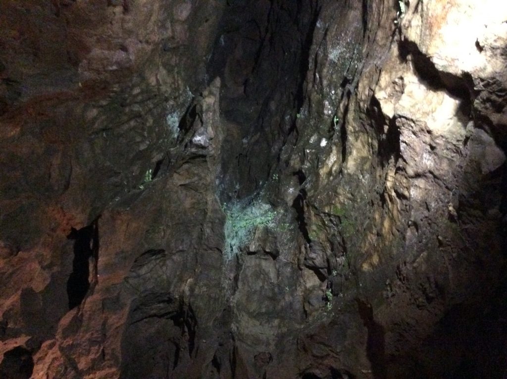 Cheddar Gorge and Caves (and the cheese, of course!) - Guide-for-London
