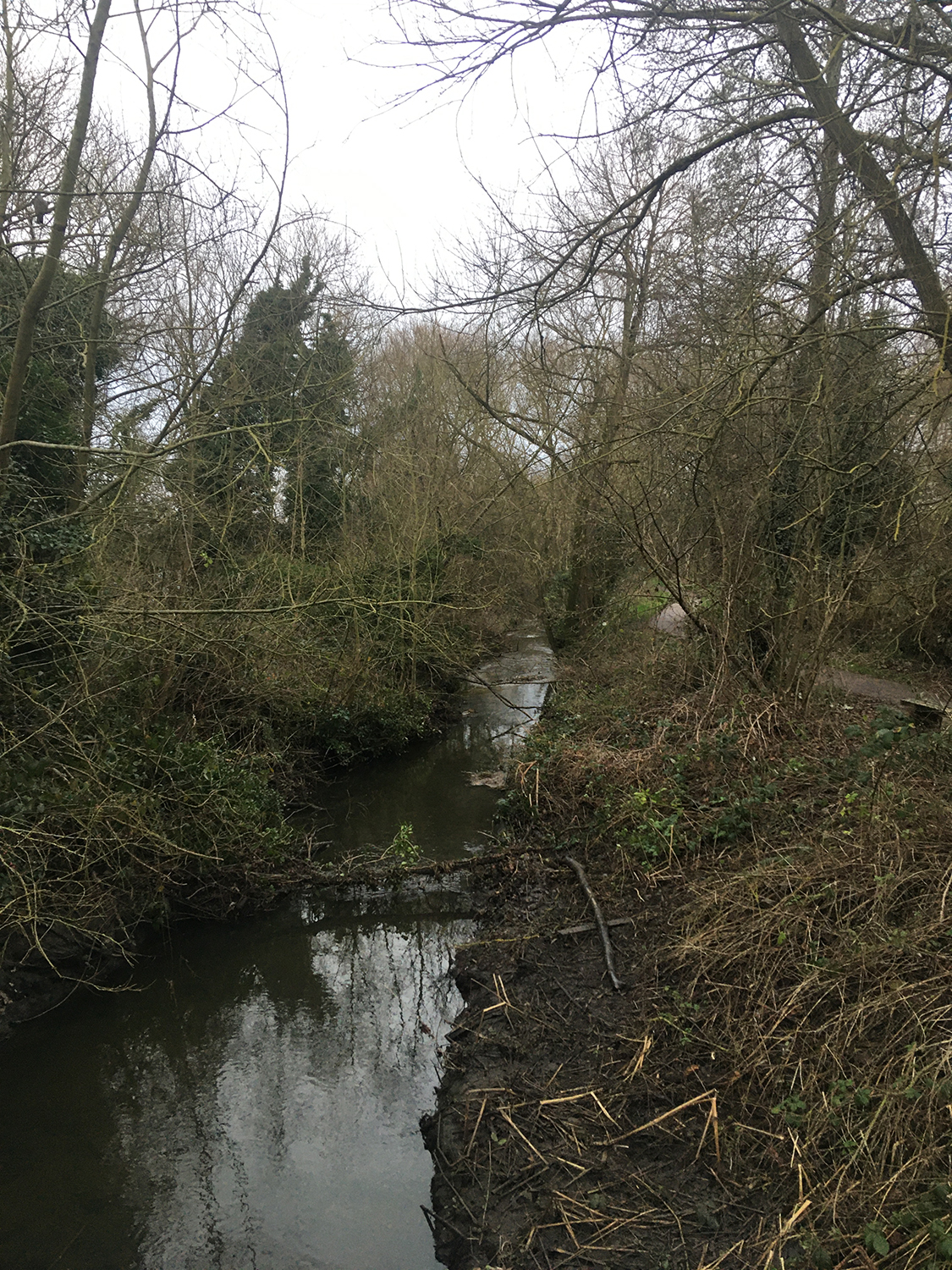 The River Lea - Guide-for-London